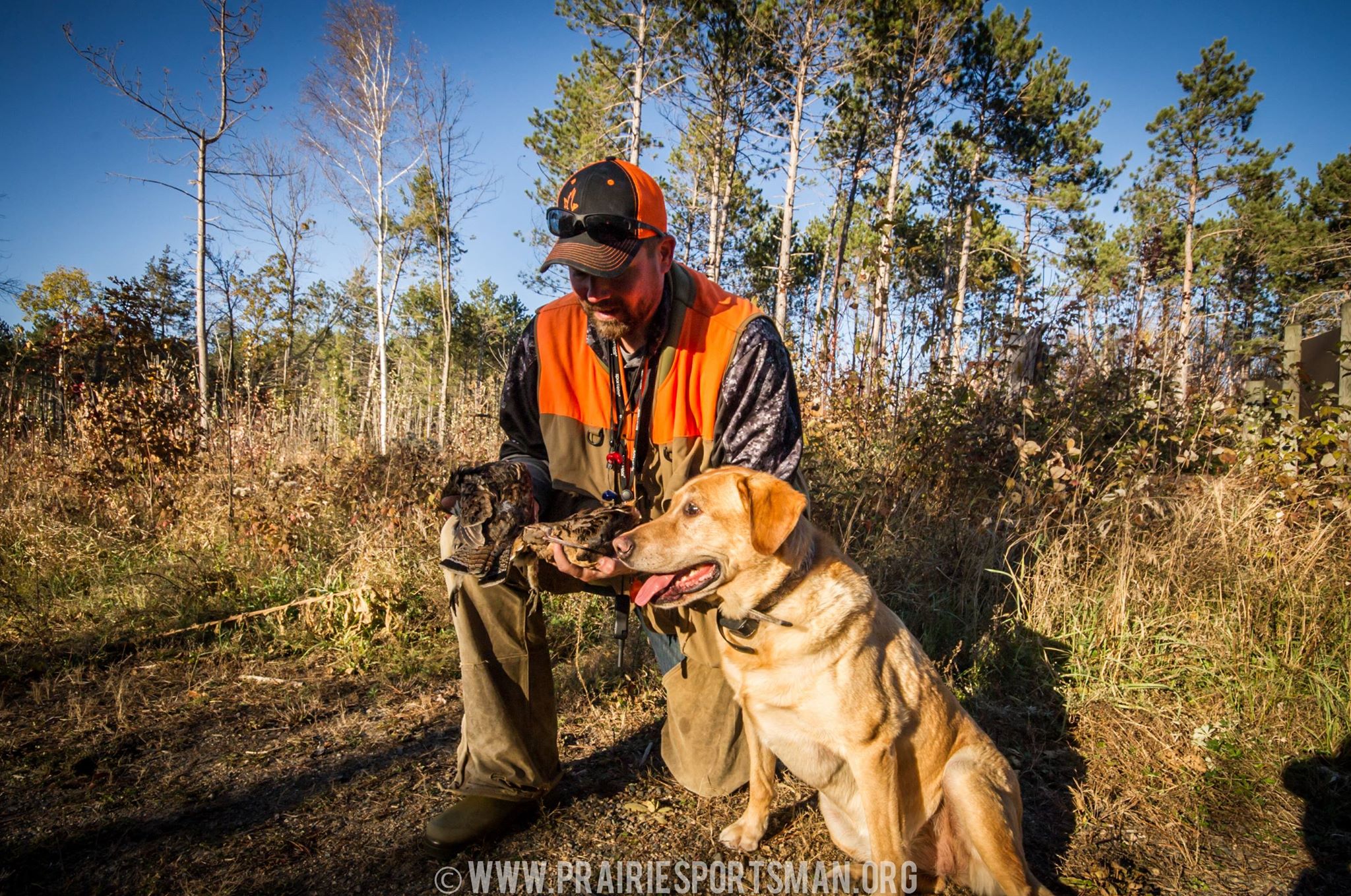 Minnesota DNR Adds Angling Limits for Several Species - Fish Hunt Forever