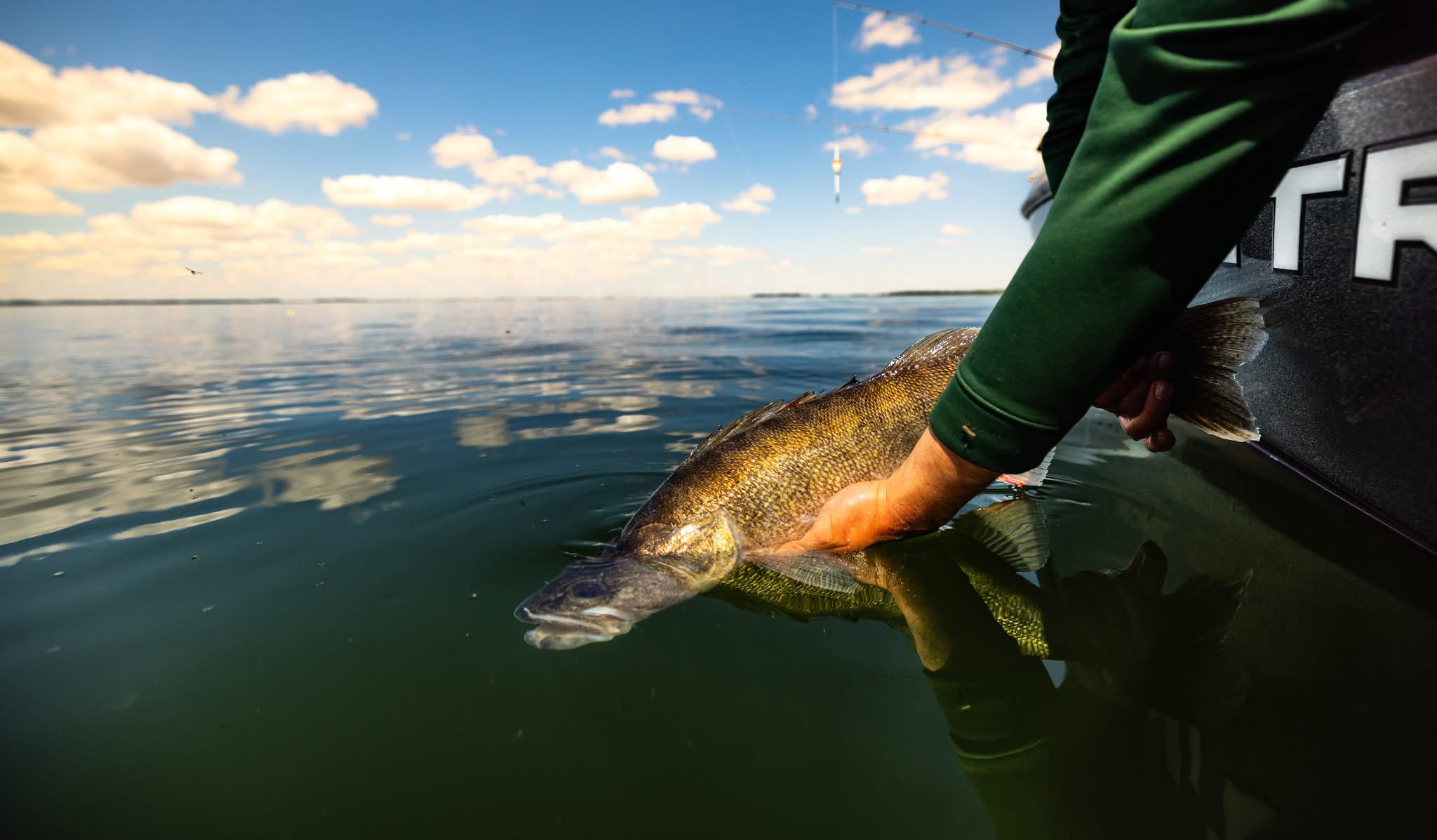 Affiliates - Fish Hunt Forever